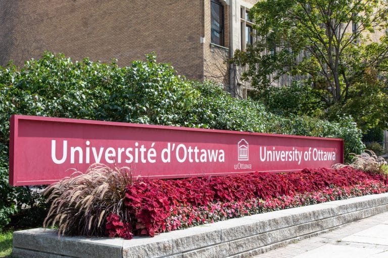 IFSD – The Institute of Fiscal Studies and Democracy